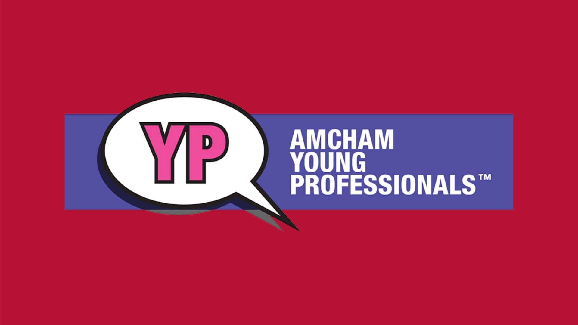 AmCham Young Professionals™, 6th Meeting: ‘Partners in Crime’, Maja and ...